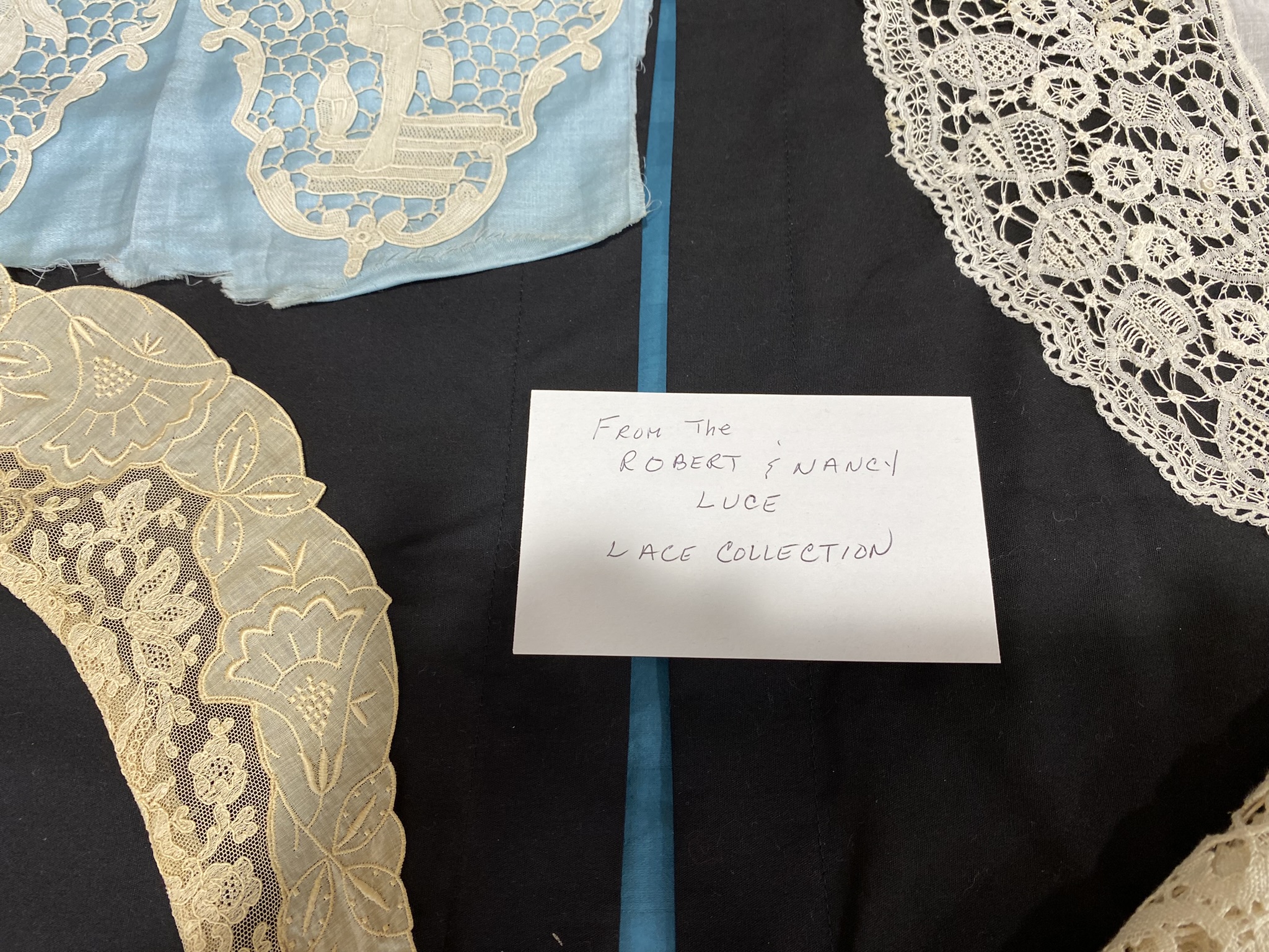 Fall Lace Day Photos | North Carolina Regional Lacers